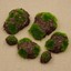 6 Pcs Wood Chip Moss Stone Flower Fake Plant DIY Garden Flower Pot Home ...