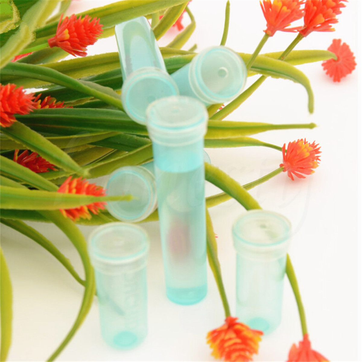 Small Water Containers For Roses How To Water Succulents In Gardens,