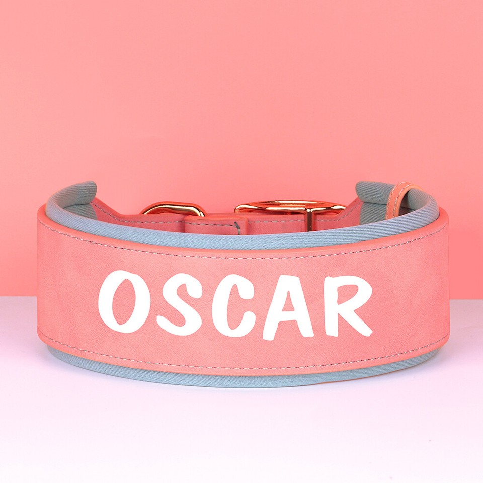 Wide Leather Padded Dog Collar Personalized with Name Rottweiler ...