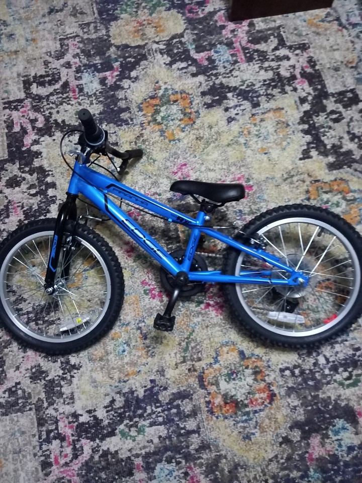 Baby Blue Piranha kids bike | eBay