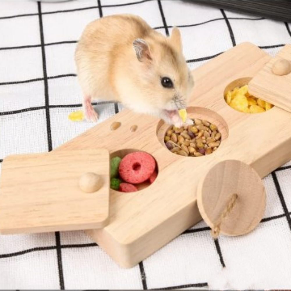 Wooden Foraging Toy Feeder Interactive Puzzle Snuffle Game Small Pet | eBay