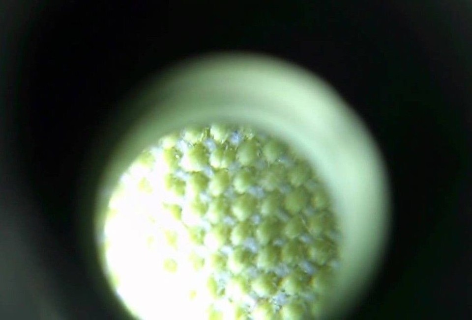 Cell Phone Clip Mini 60X Microscope Adjustable Focus Magnifier LED Coin ...