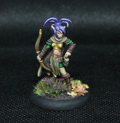 Shalelu, Elf Ranger - Reaper Miniatures - PAINTING COMMISSION | eBay