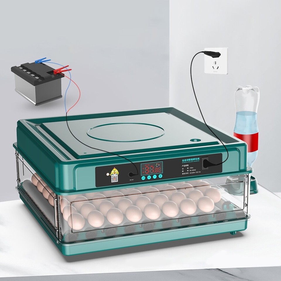 For Chicken Goose Bird Quail Pigeon Eggs Incubator Fully Automatic ...
