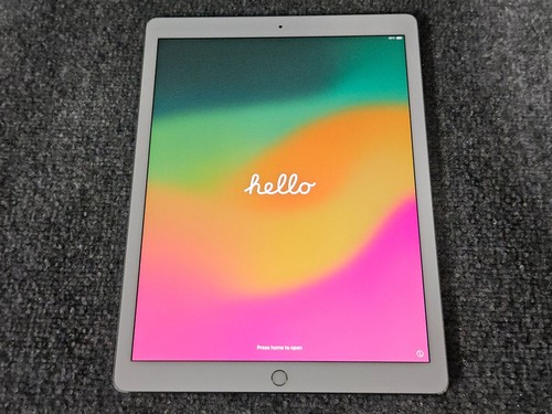 Apple A1670 iPad Pro 2nd Gen. 256GB Wi-Fi 12.9" White/Silver ...