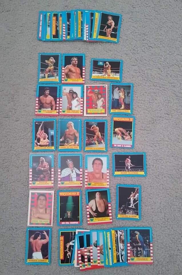 (70) 1987 Topps Wrestling Card Lot Hulk Hogan Macho Man Steamboat Andre ...