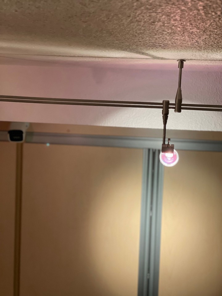 Radius Spotlight - Tech Lighting Compatible - NEW | eBay