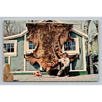 Vintage Postcard Kodiak Bear Pelt 10'2" Alf Madsen hunting camps Alaska ...