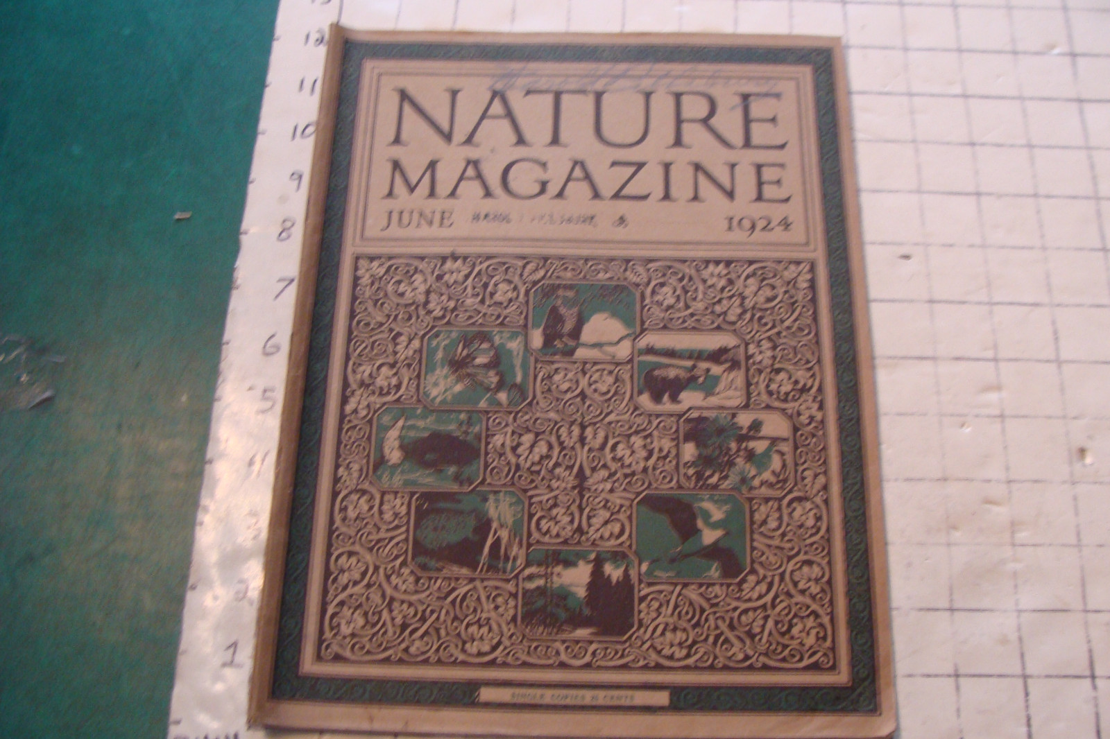 vintage NATURE magazine: 1924 June; sugar, trees, sky, president love ...