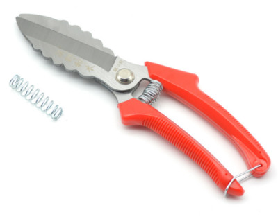 Household stainless steel onion and garlic scissors labor-saving garlic ...