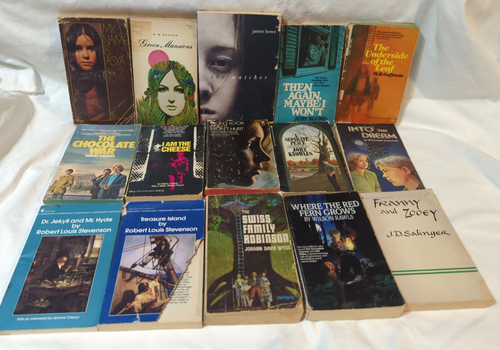 Vintage Young Adult Paperbacks, Adventure, Teen, Coming of Age, Lot of ...