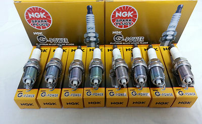 NGK MADE IN JAPAN TR55GP SPARK PLUG PLATINUM POWER 8-PEICES (3403) | eBay