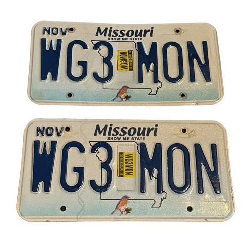 Missouri Show Me State 2019 Bluebird MO License Plate Matching Pair WG3 ...