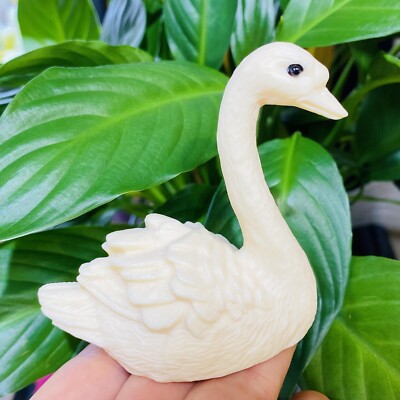 TOP Natural Genuine Tagua Nut Swan Hand Carved Decoration reiki healing ...