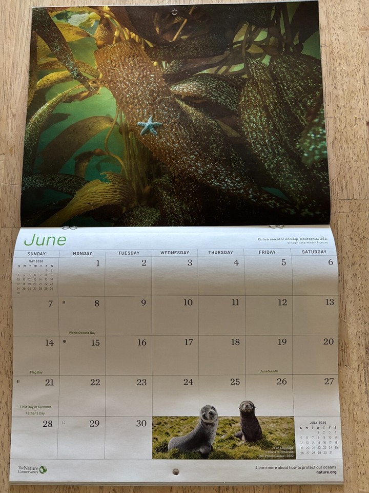 The Nature Conservancy - 2026 - 16-Month Wall Calendar- Great Nature ...