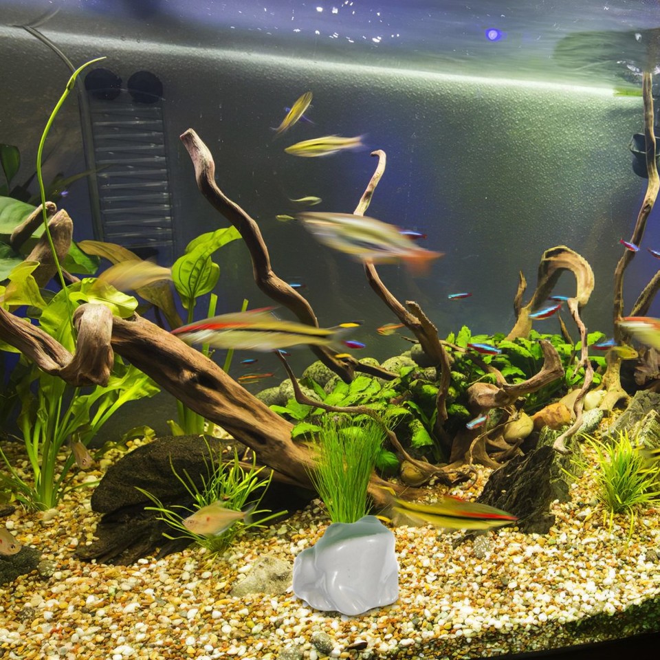 Frog Statue Decoration Fish Aquarium Accessories Floating Tank ...