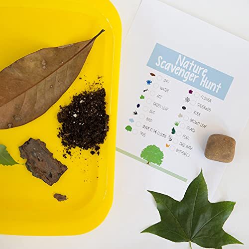 Sustainable Printer Paper Case, 8.5 x 11 White, 5 Reams, 2500 Sheets of ...