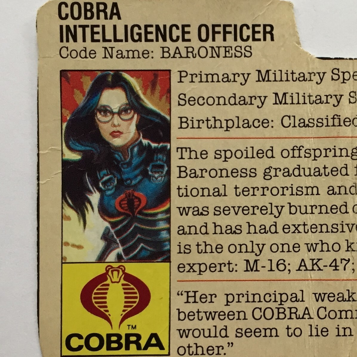 G.I. Joe Cobra BARONESS v.1 File/Bio Card Vintage 1984 | eBay