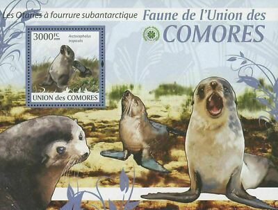 Sub Antarctic Fur Seal Stamp Fauna Souvenir Sheet Mint NH | eBay