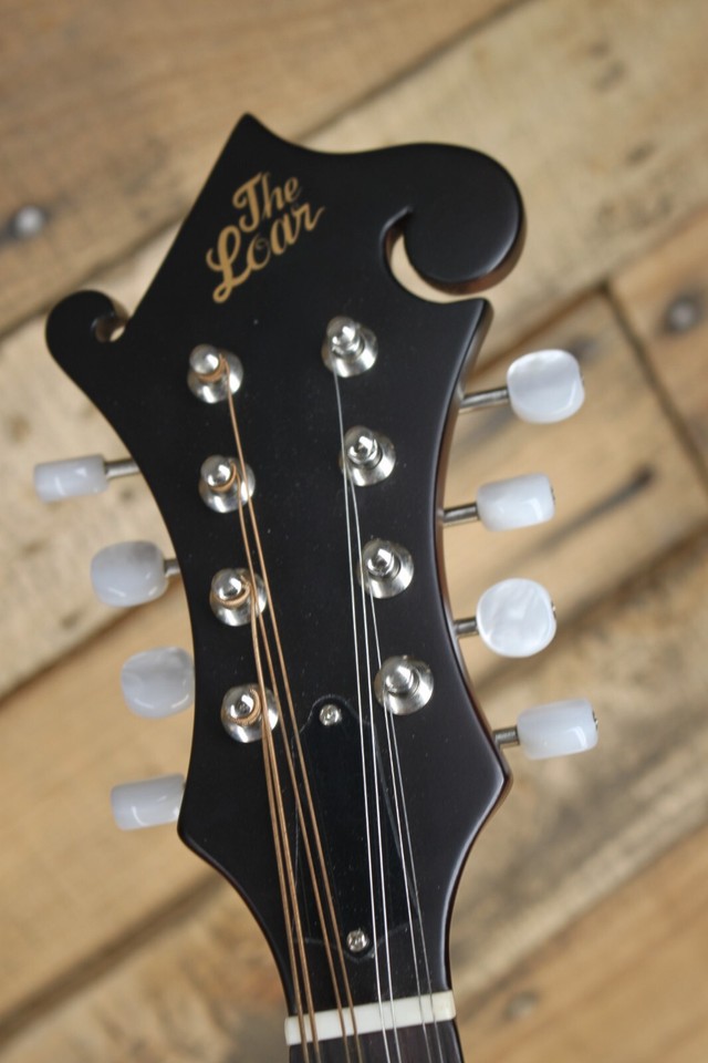 The Loar LM-310FE Hand-Carved F-Style Acou-Electric Mandolin -HEEL ...