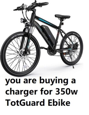 🔥Li-ion Lithium Battery Charger for 350w TotGuard Electric Bike🔥 | eBay