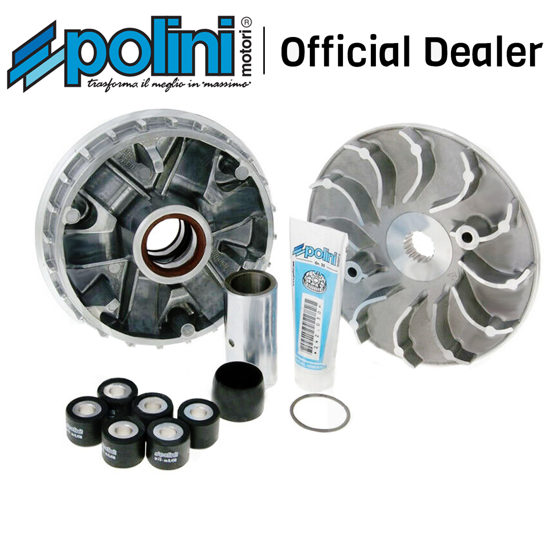 Variomatic Polini Hi-Speed Specific Honda 300 300i Sh SH300 Strength A ...