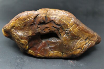 Black River agate rough uncut collector specimen (From the new deposit ...