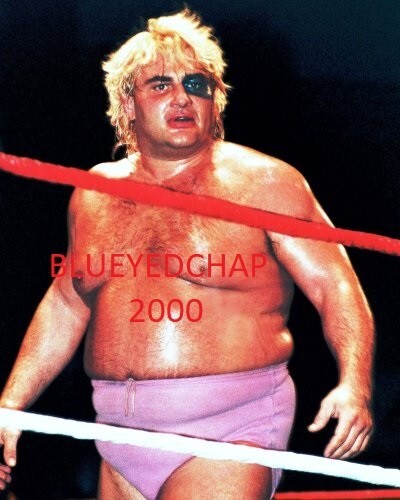 ADRIAN ADONIS WRESTLER 8 X 10 WRESTLING PHOTO WWF AWA | eBay
