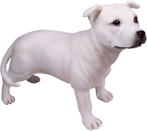White Staffordshire Bull Terrier Dog Statue - White Staffie Ornament ...