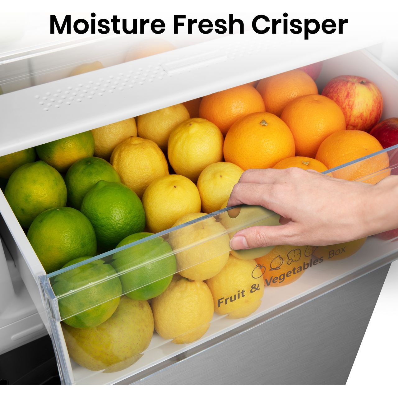 Hisense RB435N4BCE 60/40 60cm 60/40 Free Standing 60/40 Fridge Freezer ...