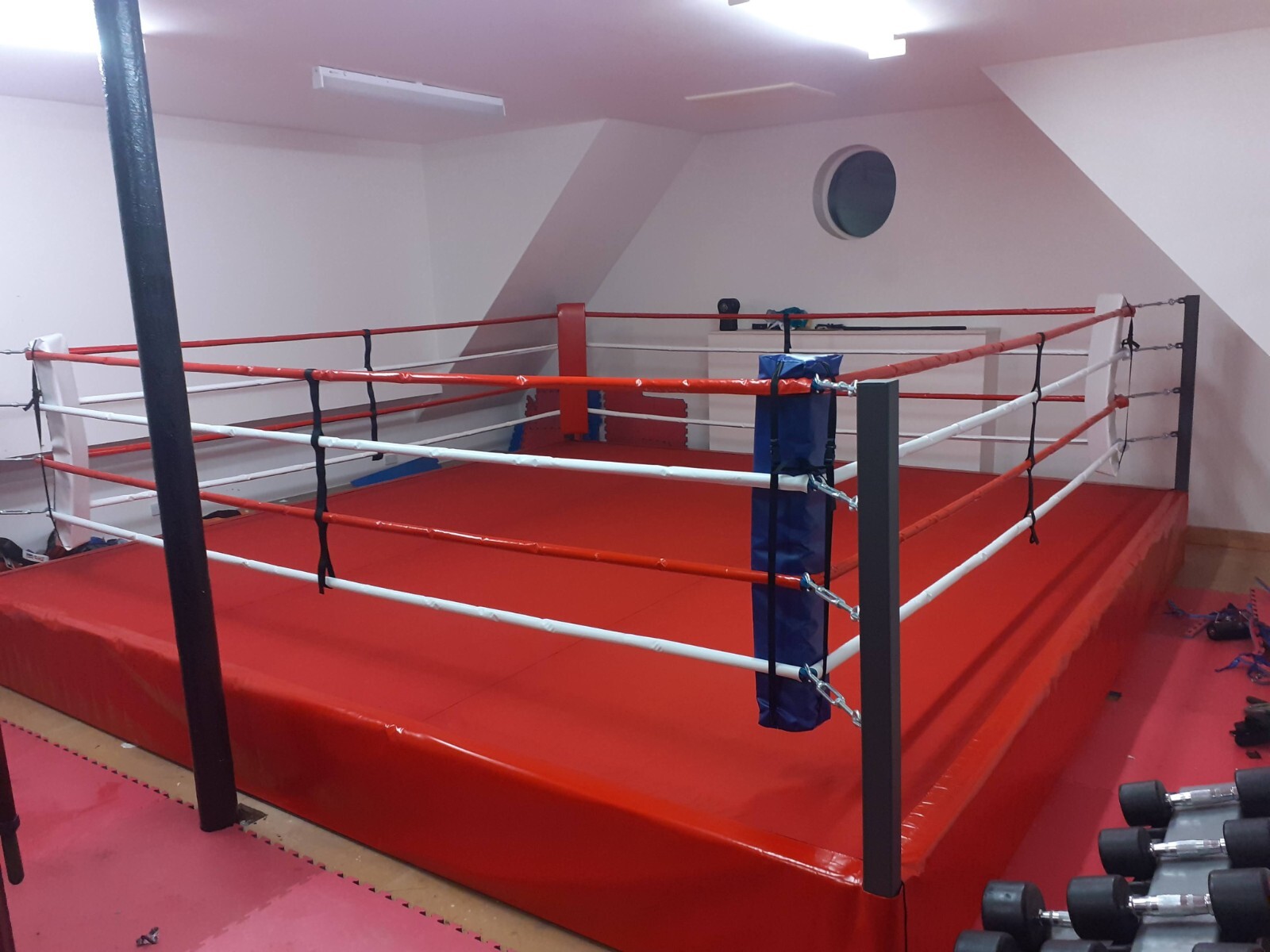 Professional Boxing Ring Canvas Cover Wrestling Ring Cover MMA UFC WWE ...