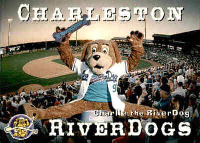 1998 Charleston River Dogs Grandstand #9 Charlie the RiverDog Mascot ...