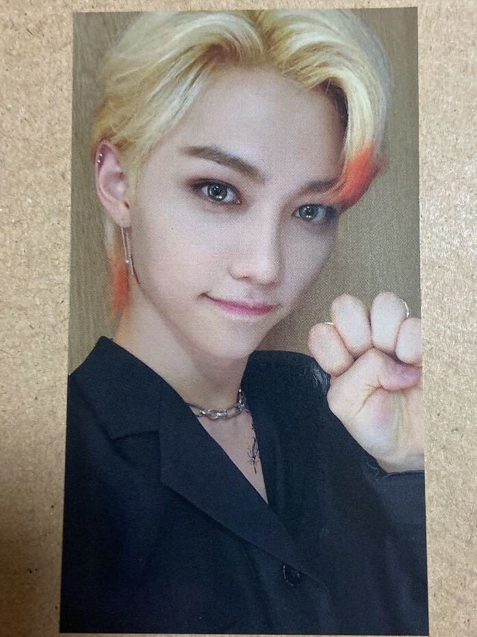 Stray Kids Felix Scars / Thunderous Official Photo Card PC A,B,C,Normal ...