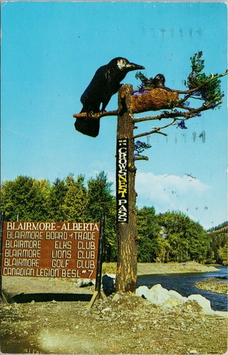 Blairmore Alberta Crow in Tree Crowsnest Pass c1961 Postcard G46 | eBay