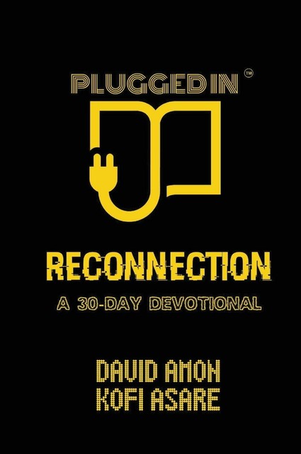 Reconnection von David Amon (2020, Gebundene Ausgabe) online kaufen | eBay.de
