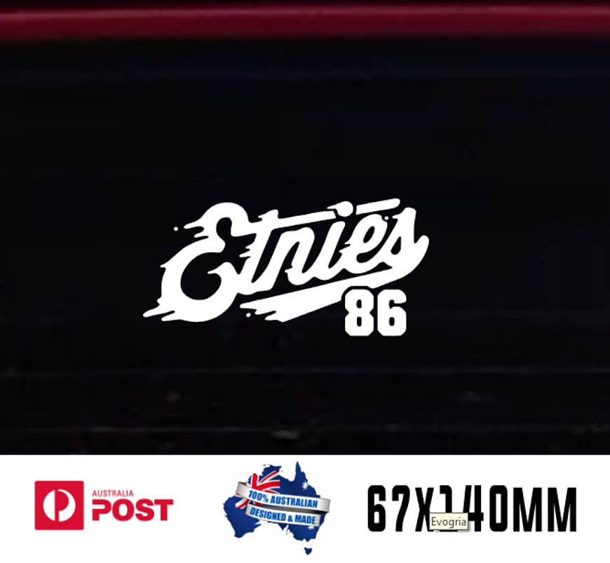 Etnies Windscreen Windshield Decal Sticker 140mm WHITE | eBay