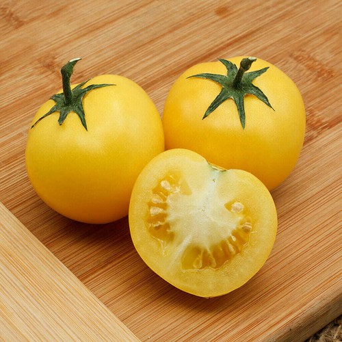 TOMATO Yellow Perfection(Indeterminate) 50 seedsFruit heirloom garden ...