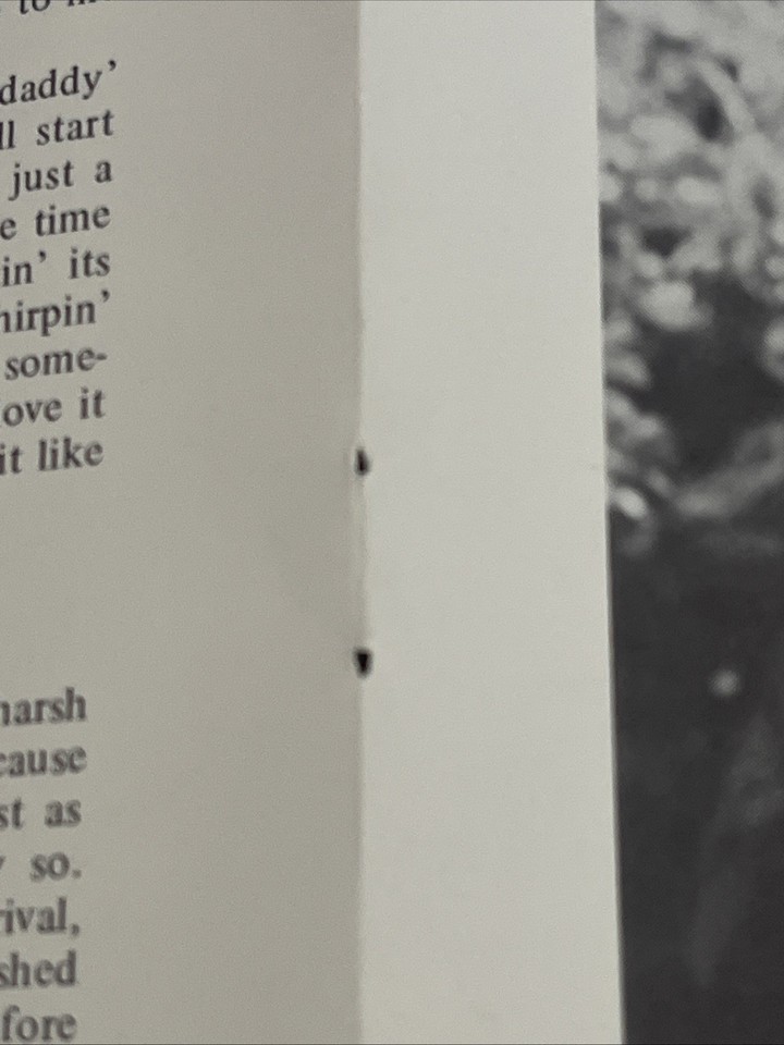 VTG 1972 Beefcake Zeus Studios Centerfold Poster from QQ for Gay Guys Magazine | eBay