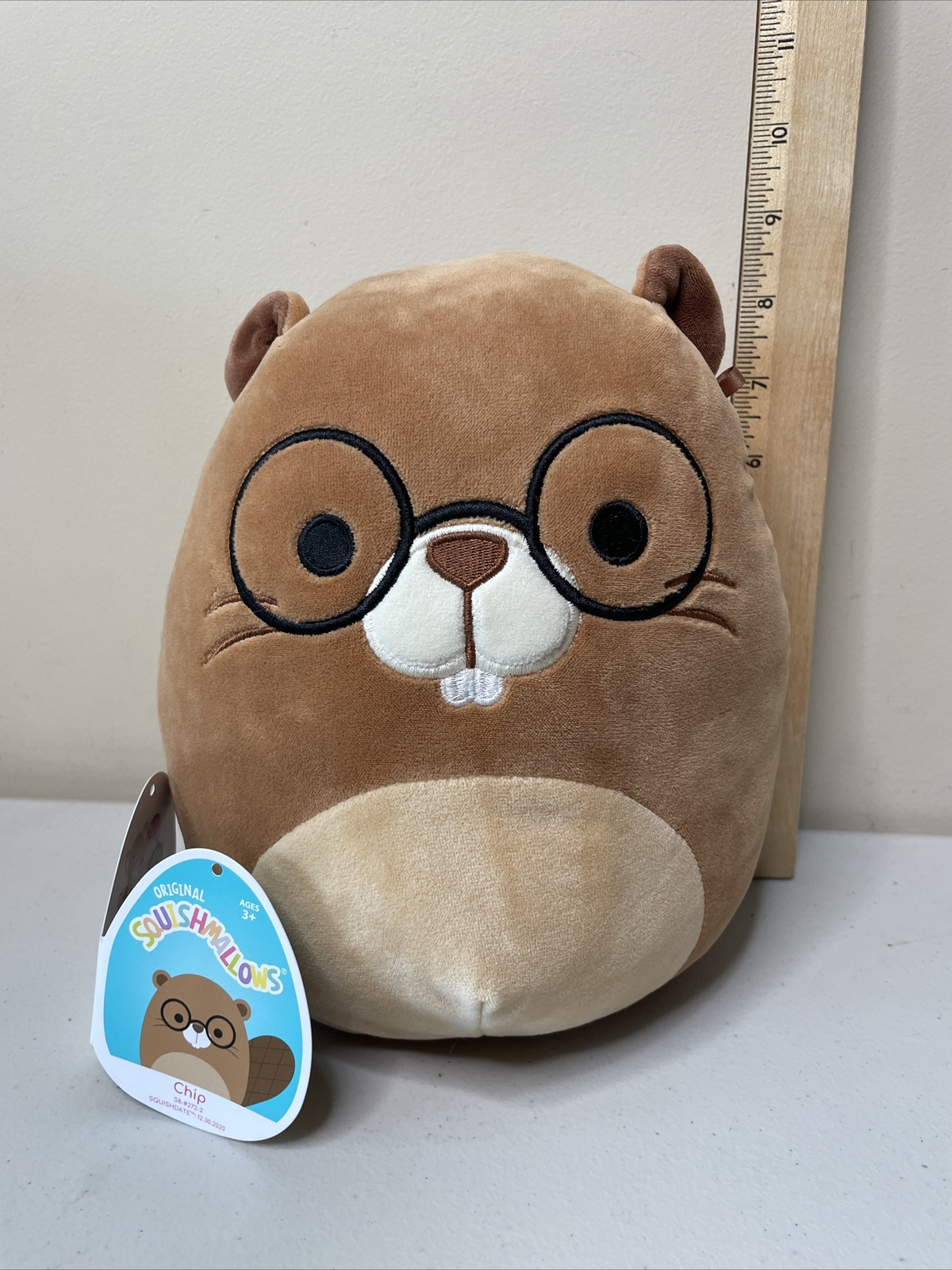 Squishmallows 2020 Chip Beaver With Glasses With Tag 8” 734689421794| eBay