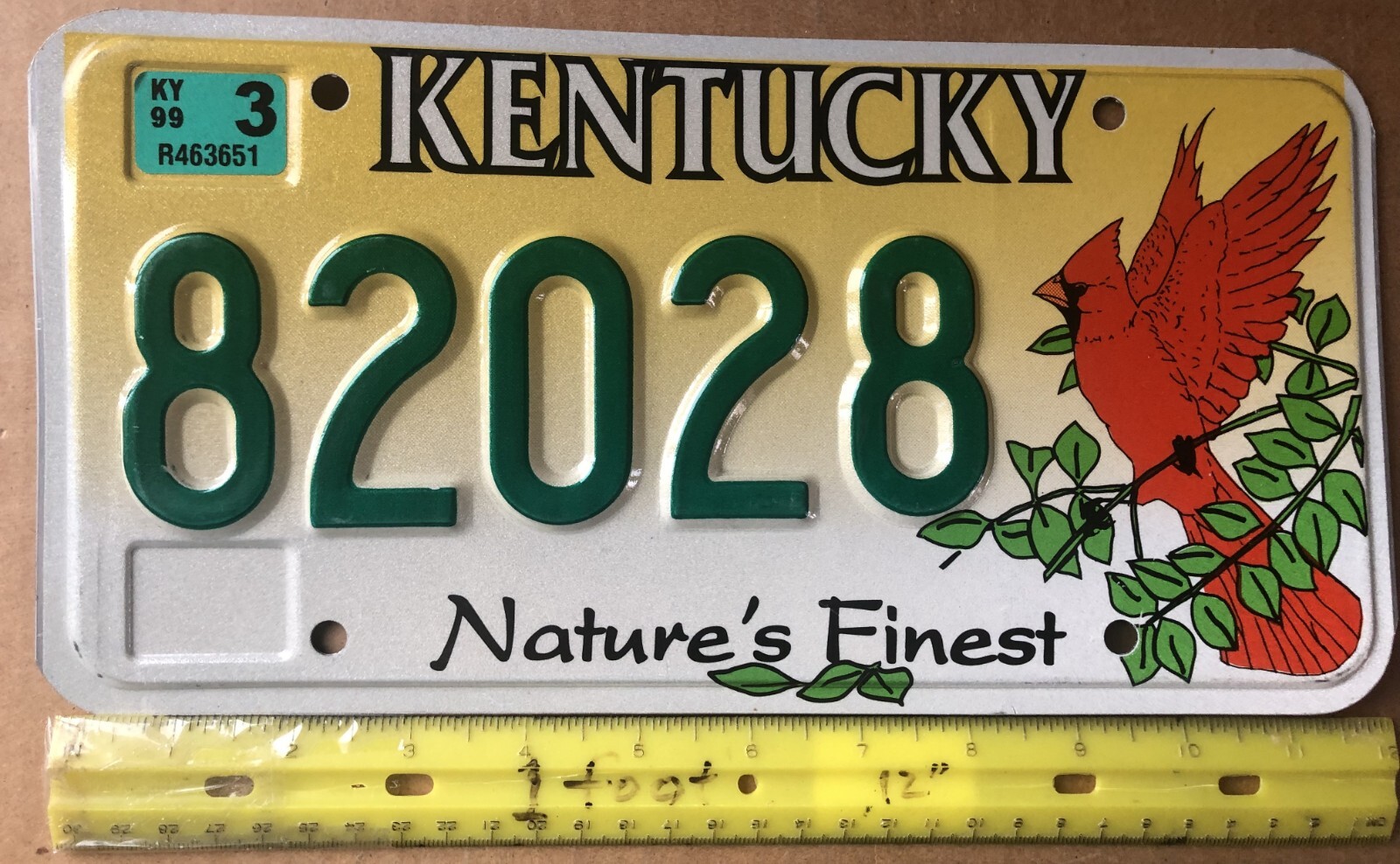 License Plate, Kentucky, Nature's Fin, 82028, Bird, Cardinal, 5 digit ...