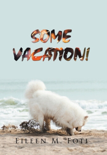 Some Vacation! by Foti, Eileen M. 9781984578433 | eBay