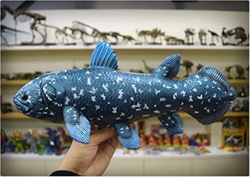 Favorite Vinyl Model Ancient Fish Series FF-301 COELACANTH 16in figure ...