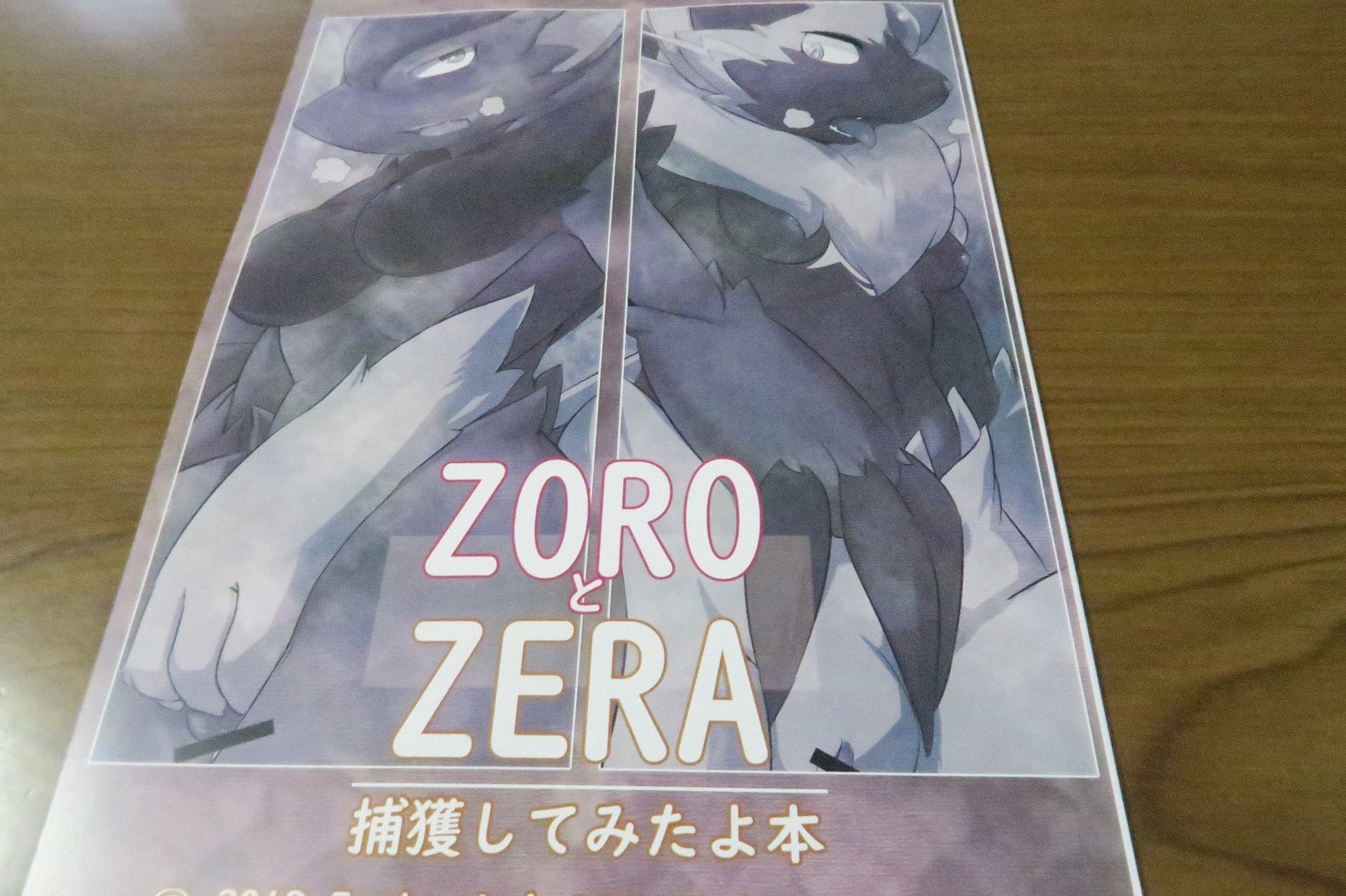 Doujinshi POKEMON ZORO ZERA (B5 12pages) EUPHORIC Zoroark Zeraora | eBay