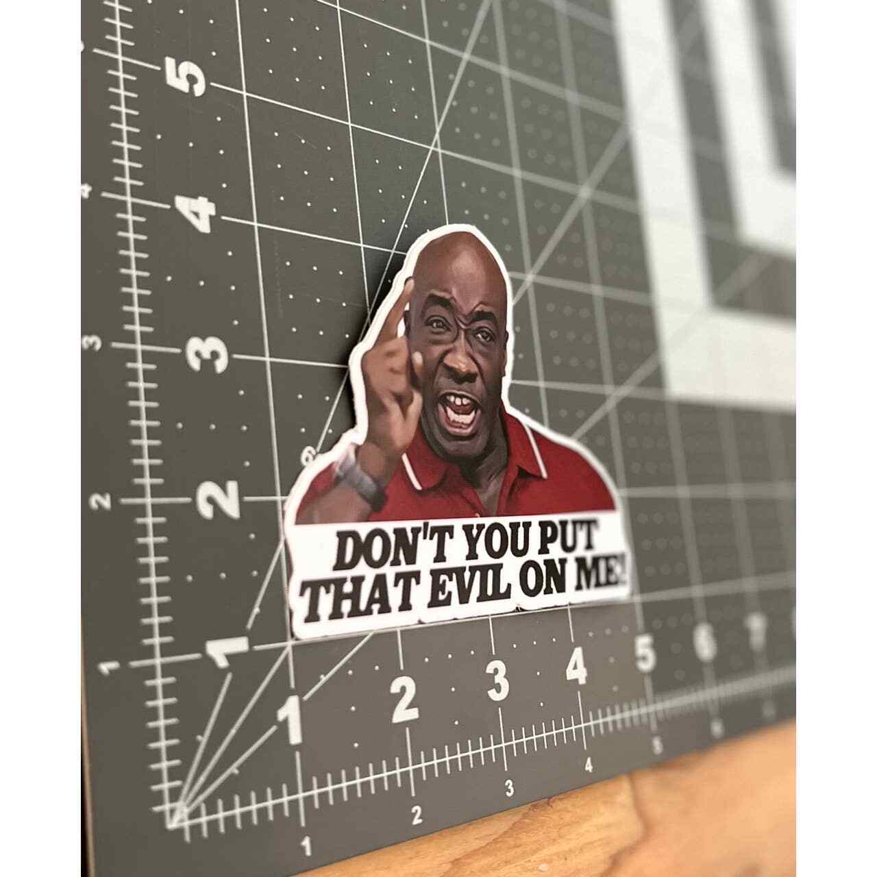 Talladega Nights | Ricky Bobby | Nascar | Put that Evil on me | Vinyl ...