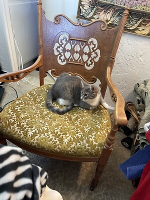 1900-1950 - Bird Eye Maple