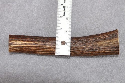 REAL RED DEER ANTLER SECTION EXTRA LONG FOR A KNIFE HANDLE OR DOG CHEW ...