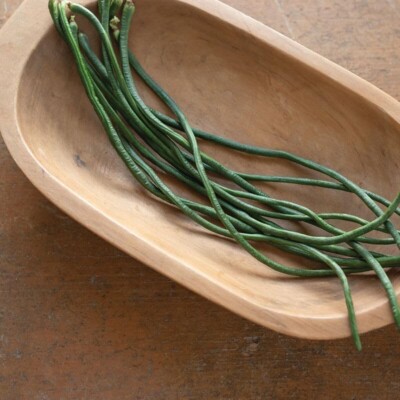 Python Yard Long Bean Seeds for Planting (20 Seeds) | eBay