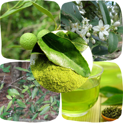 Atalantia Ceylanica Sun Dried Yaki Naran Leaf Powder Wild Lemon Herbal ...