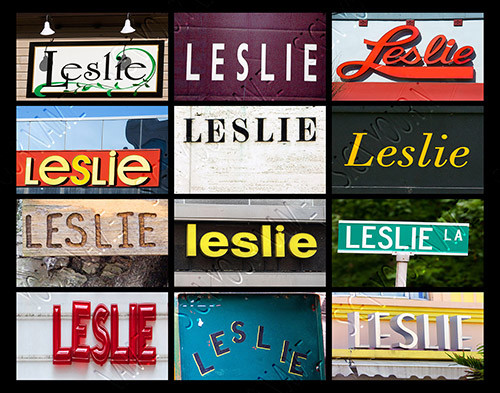 LESLIE Name Poster featuring photos of actual signs | eBay