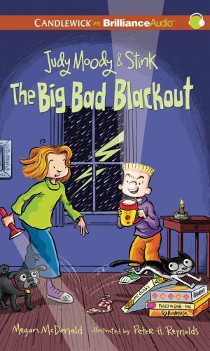 Judy Moody and Stink Ser.: Judy Moody and Stink: the Big Bad Blackout ...